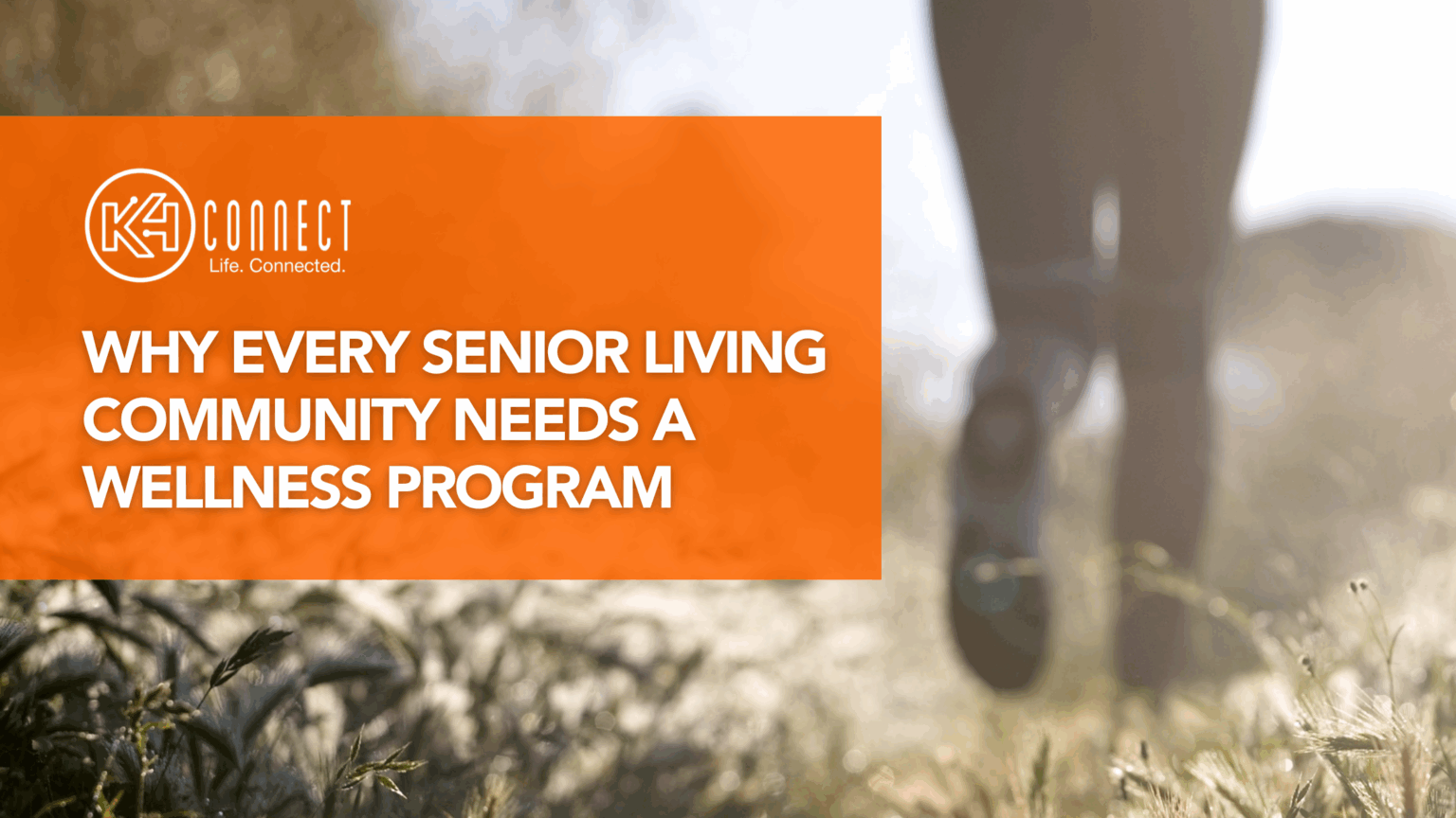 Why Every Senior Living Community Needs a Wellness Program - K4Connect